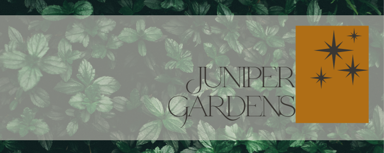 Styled Shoots and Fresh Ideas Archives » Juniper Gardens